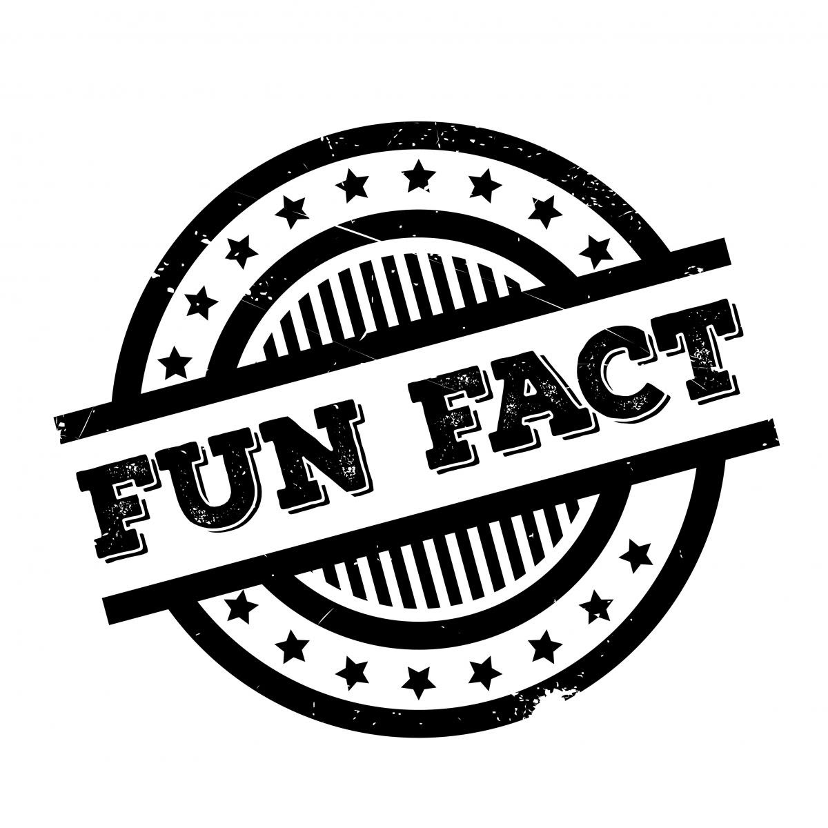 Fun Fact Logo Wayzata Community Church fun-fact-logo-wayzata-community-church